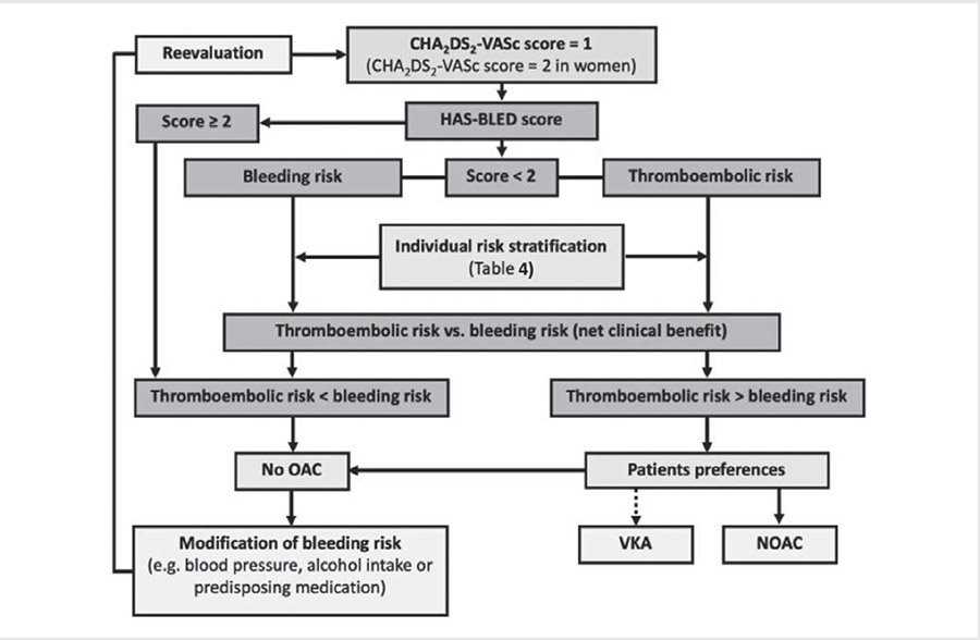แนวทางการให้ oral anticoagulant ในผู้ป่วย atrial fibrillation