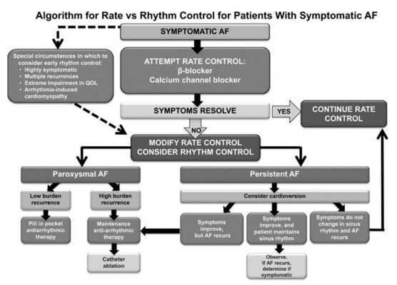 Rate Control, Rhythm Control, and Cardiac Risk Factors Modification