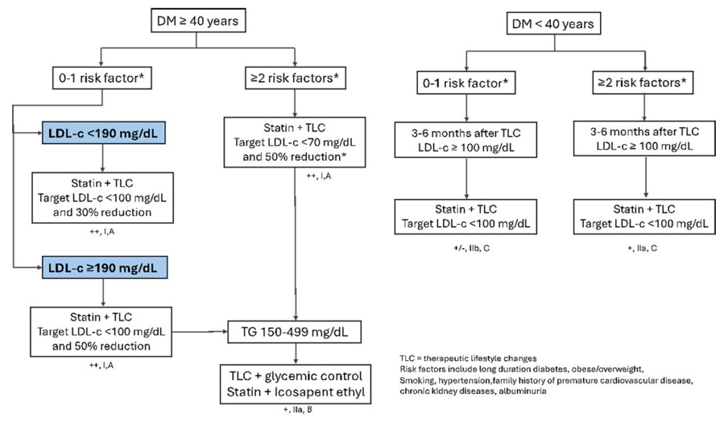 Cardiovascular risk assessment in diabetes