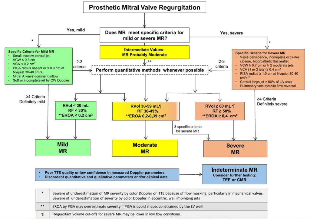 Echocardiography in Prosthetic Mitral valve Evaluation