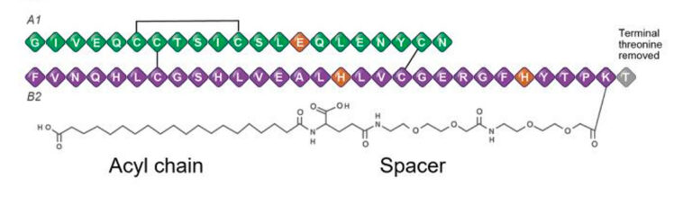 เรื่องที่แพทย์สาขาต่อมไร้ท่อ ...ควรติดตาม - CIMjournal