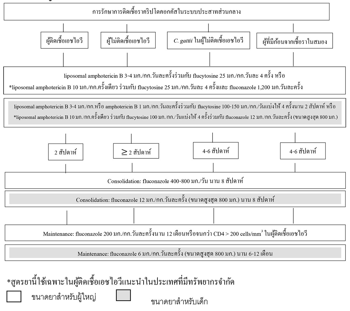 Global guideline for the diagnosis & management of cryptococcosis