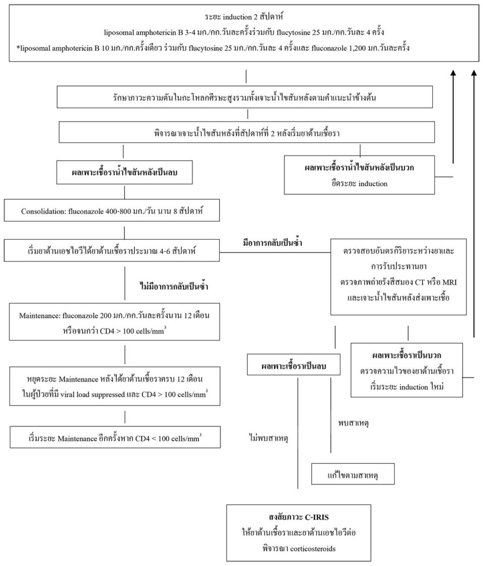 Global guideline for the diagnosis & management of cryptococcosis
