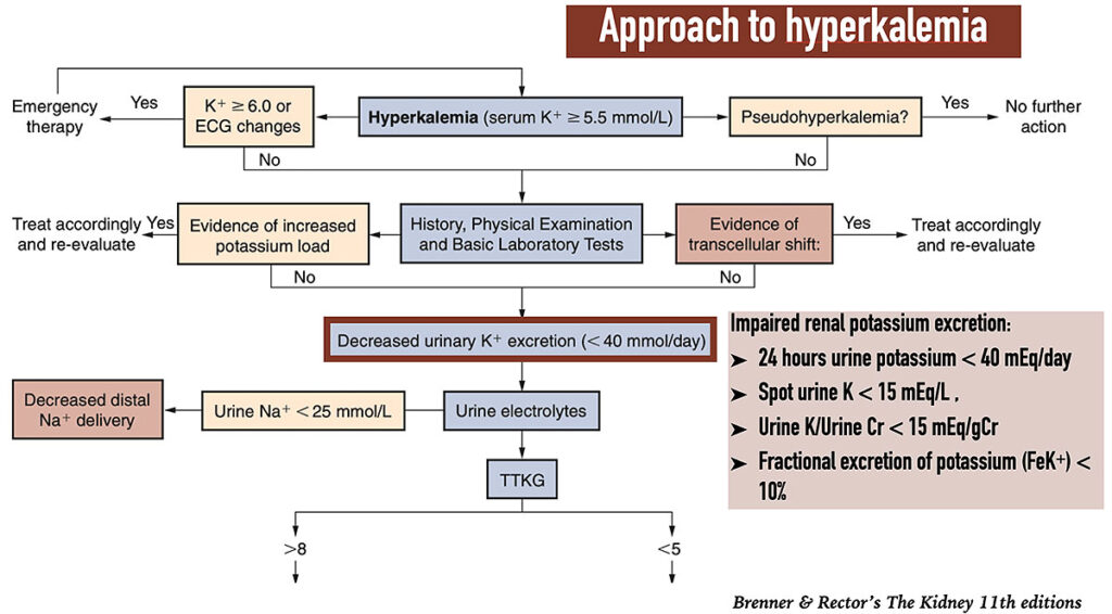 Practical and Pathophysiologic Approach to Hyperkalemia