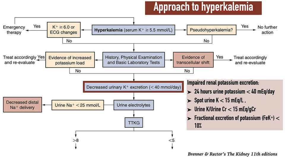 Practical and Pathophysiologic Approach to Hyperkalemia