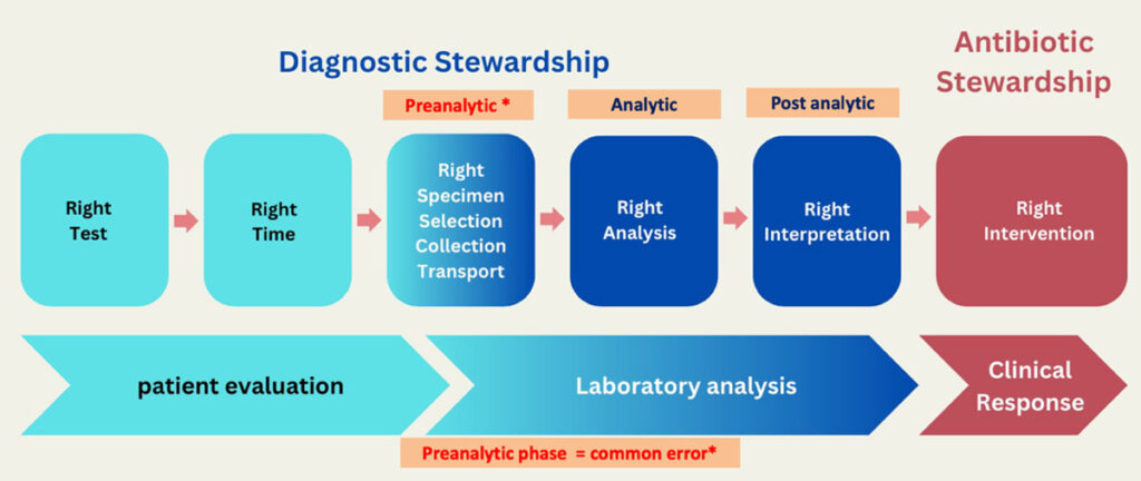 Diagnostic stewardship and antimicrobial stewardship